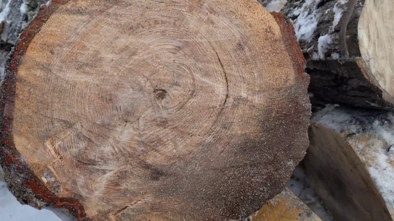 Explaining windshake in wood. - YouTube