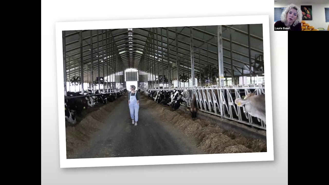 Virtual Counter Culture with Marieke Penterman and Laurie Baaierl from ...