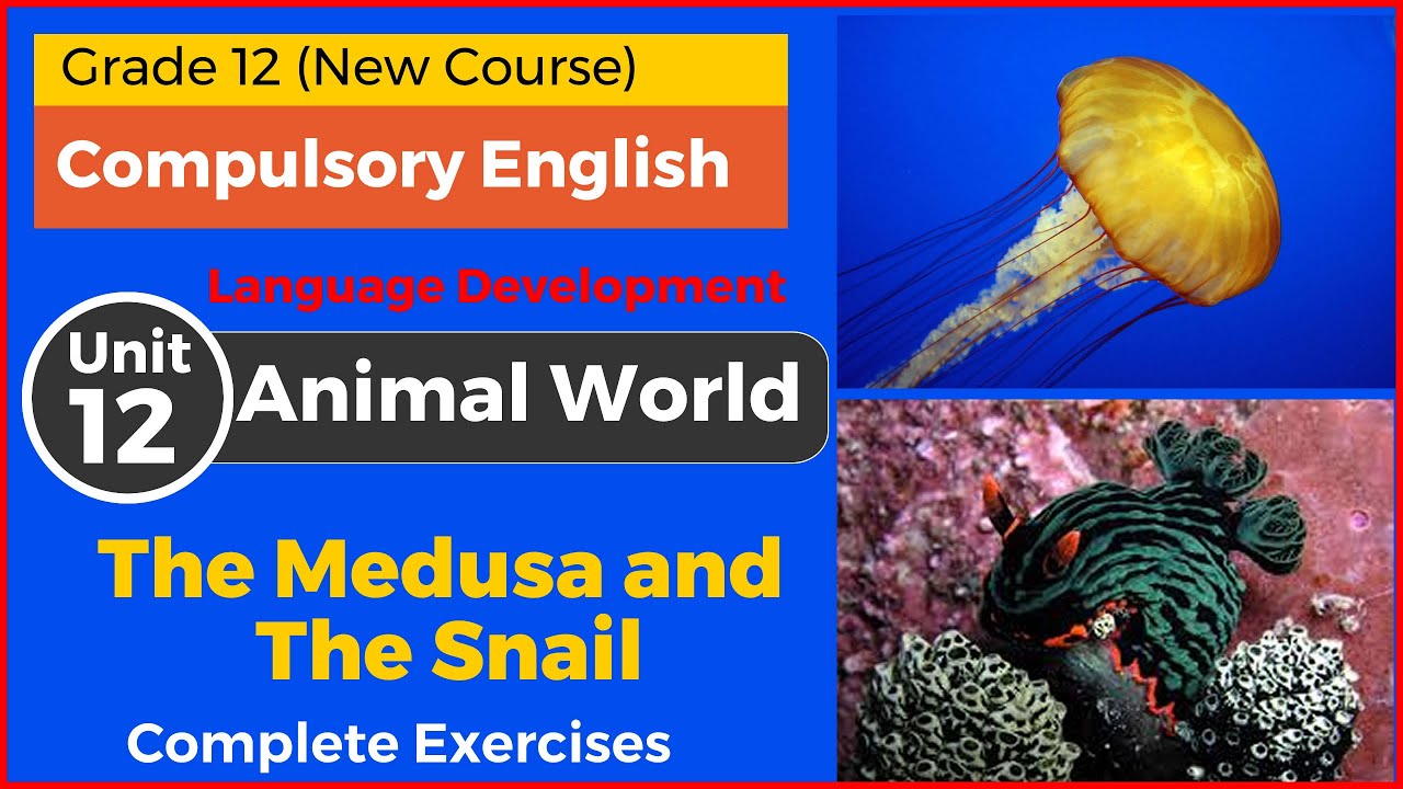 Exercise of Unit 12 || The Medusa and the Snail-Lewis Thomas ...