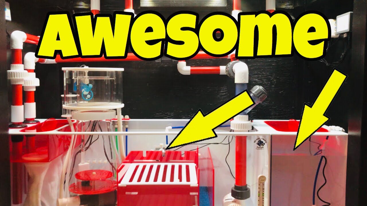 State of the Art AUTO TOP OFF RESERVOIR and ATO PUMP KIT - YouTube