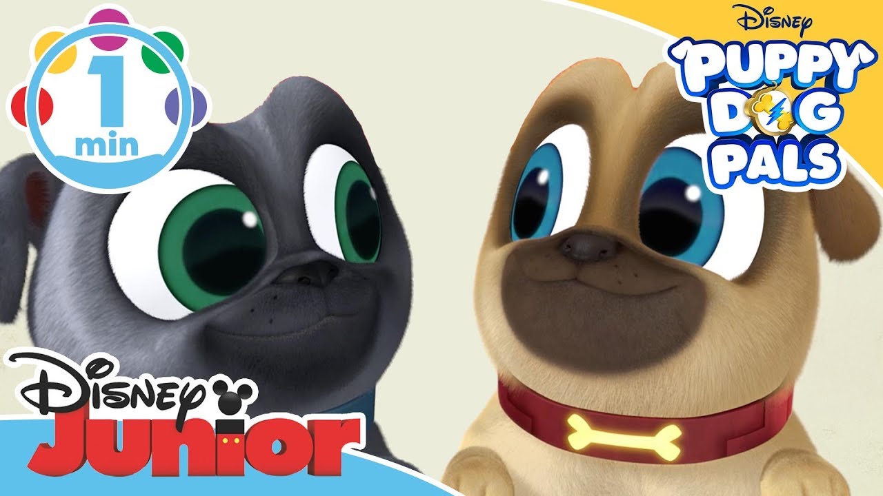 Puppy Dog Pals | Song - The Fang Fairy | Disney Kids - YouTube