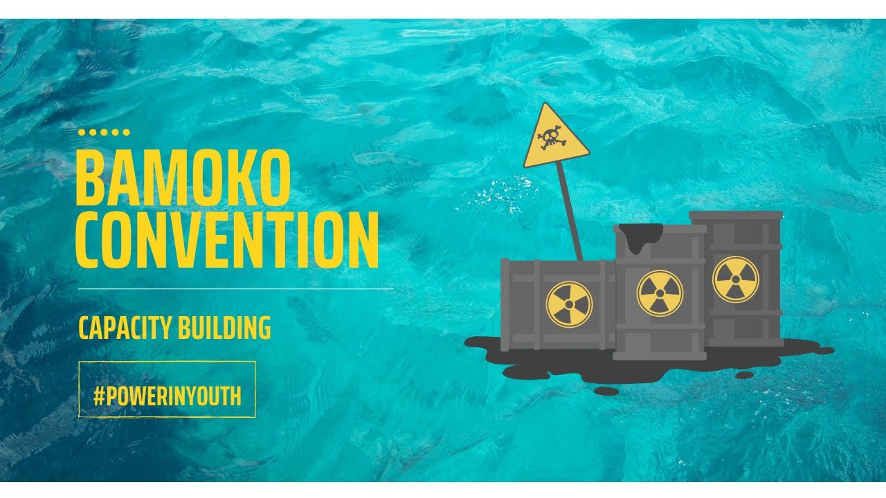 Bamako Convention : Capacity Building For Youth - YouTube