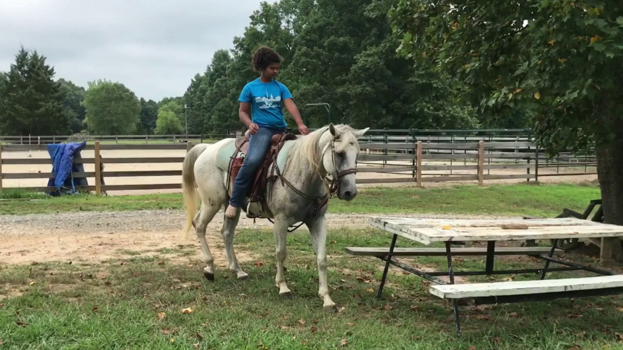 Sold-Great AQHA ranch and mounted shooting horse. - YouTube