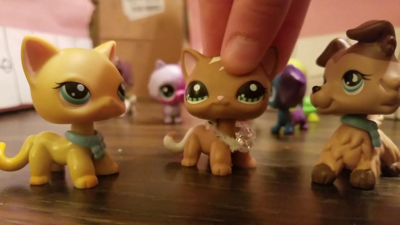 LPS: Summer. ep.1 season 1 ( new friendships ) CANCELLED! - YouTube