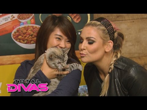 Where’s Natalya?: Total Divas, January 26, 2016