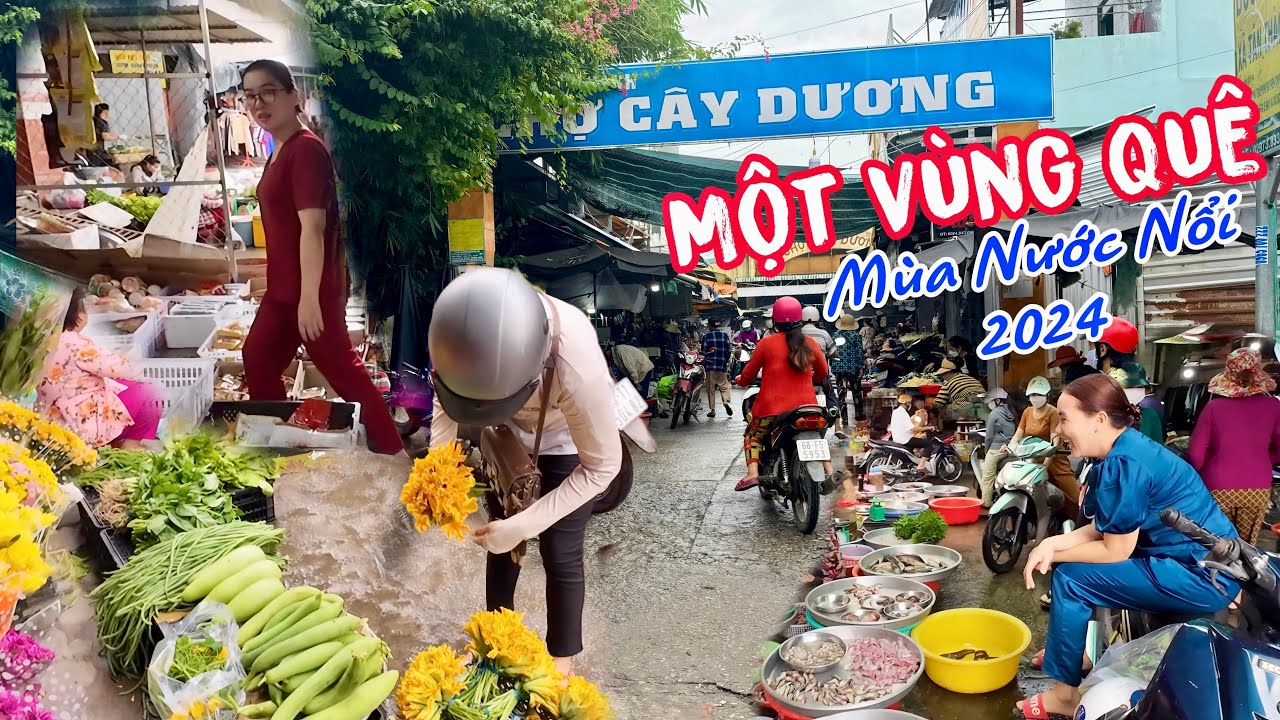 Mùa Nước Nổi 2024 - ĐI CHỢ CÂY DƯƠNG QUÁ NHIỀU CÁ ĐỒNG VÀ BÔNG SÚNG ...