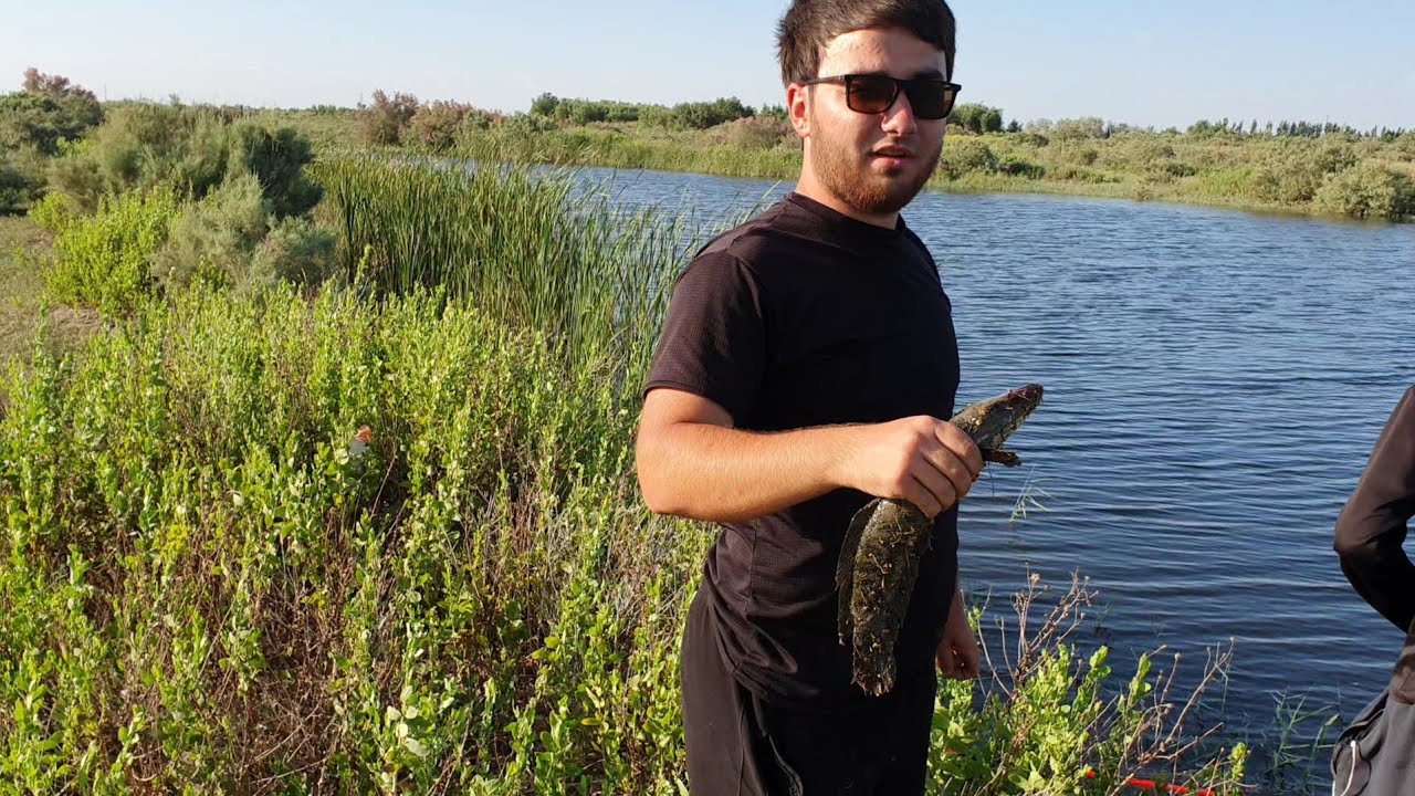 Tabiat qo'yniga obunachilarim baliq oviga kelishdi. - YouTube