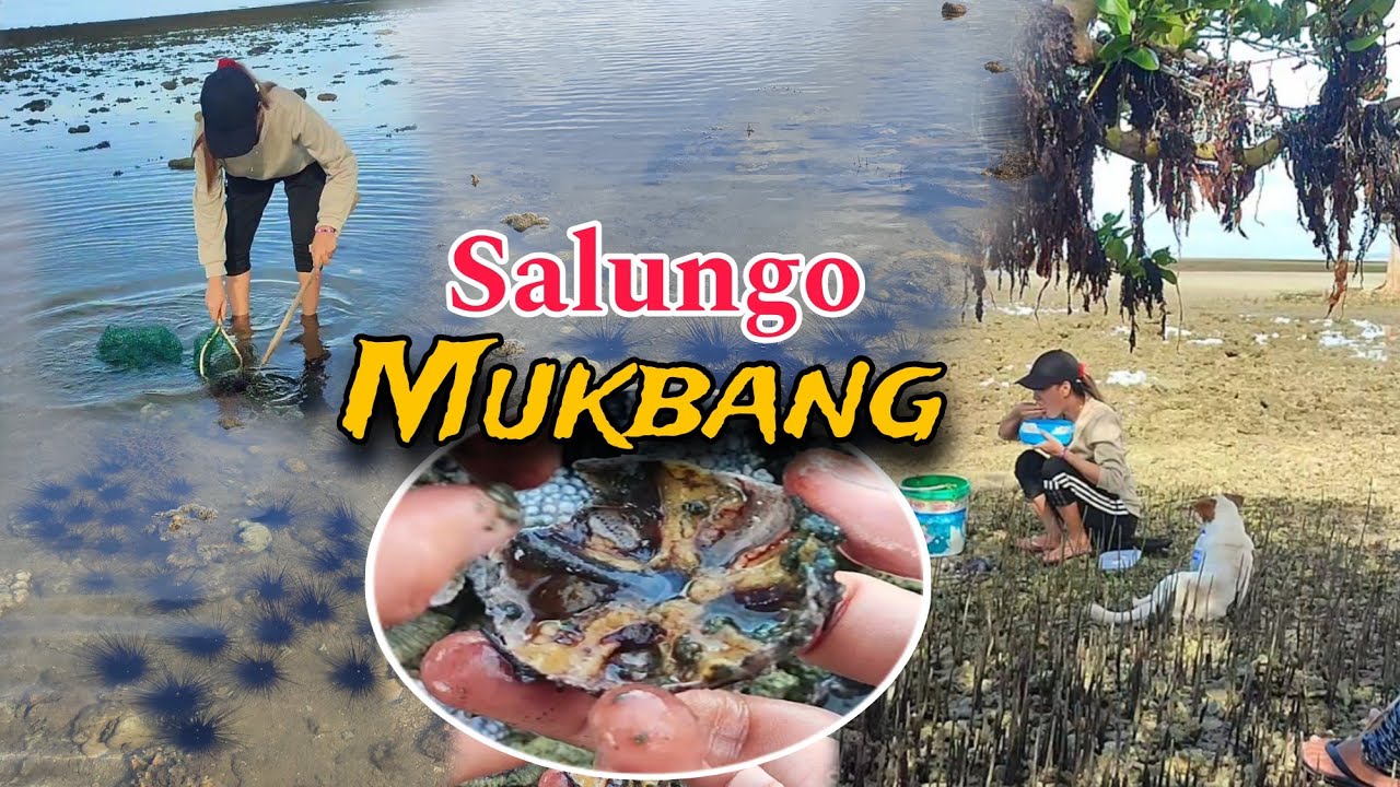 Salungo mukbang/Lami kaayu/ #fyp #seaurchins #provincelife - YouTube