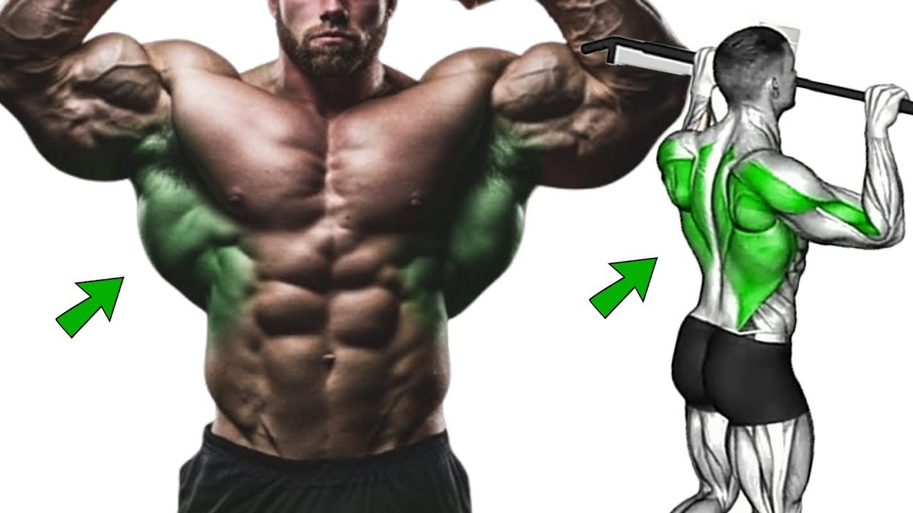 Top 5 Back Exercises Back Day with Next-Level Gains - YouTube