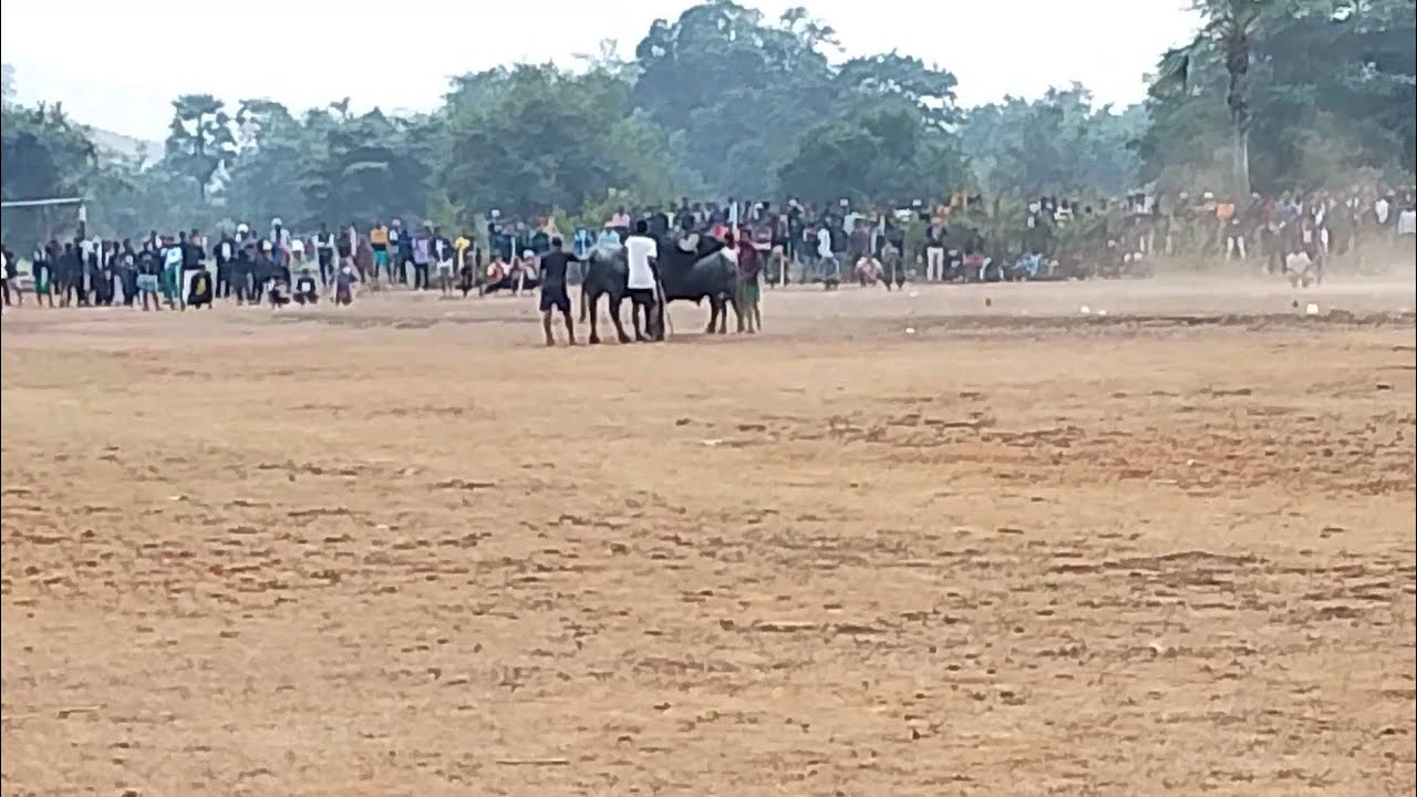 Ram Lakshman kalap tilopara ka kaladai cal Bharat banaam kayra sol ...