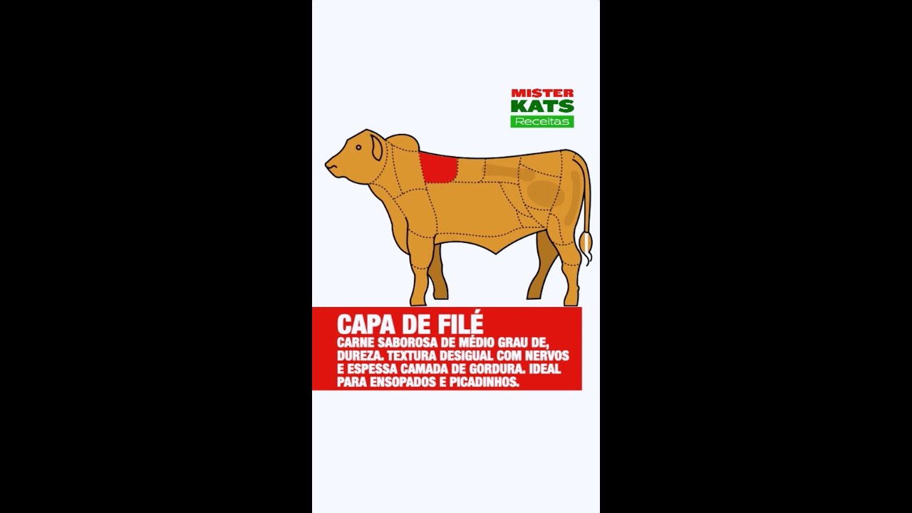 HOJE VAMOS FALAR DO CAPA DE FILÉ | ESPECIAL CORTES BOVINOS BRASILEIROS ...