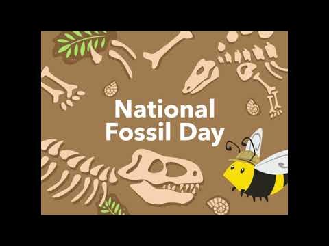 National Fossil Day 2023 - YouTube