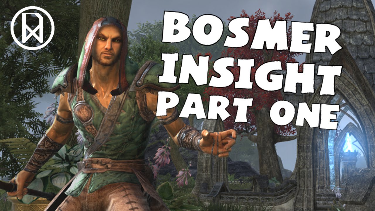 High Elf Templar - "Bosmer Insight/ Brackenleaf's Briars 1/2 ...