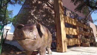 The Making of the Adamson-Spalding Sculpture Garden - 2017