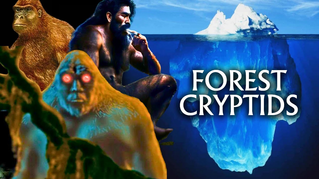 The Forest Cryptid Iceberg Explained - YouTube