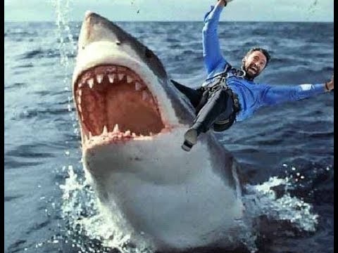 hayret edilecek düşündürecek merak ettirecek olaylar bilgiler