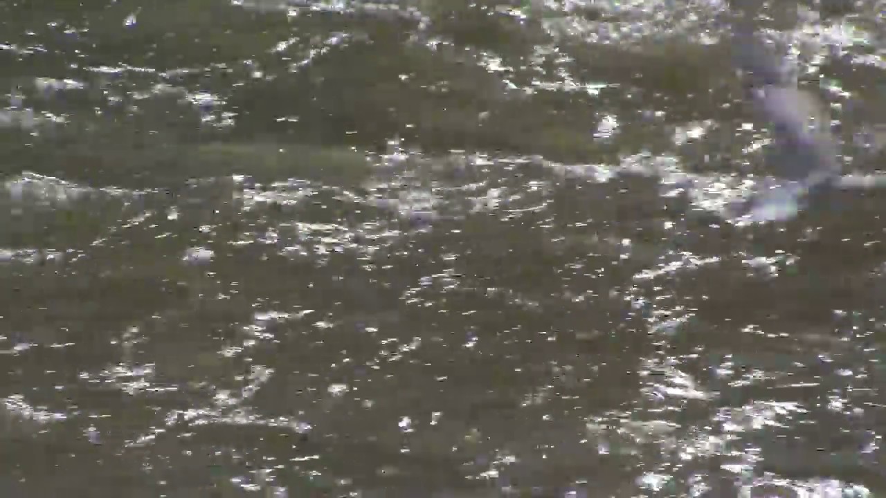 Sparkling River Water - calming, yet invigorating - YouTube