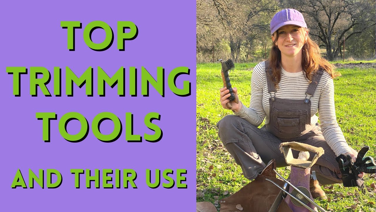 BEST Hoof Trimming Tools | Hoof Trimming Tools Review - YouTube