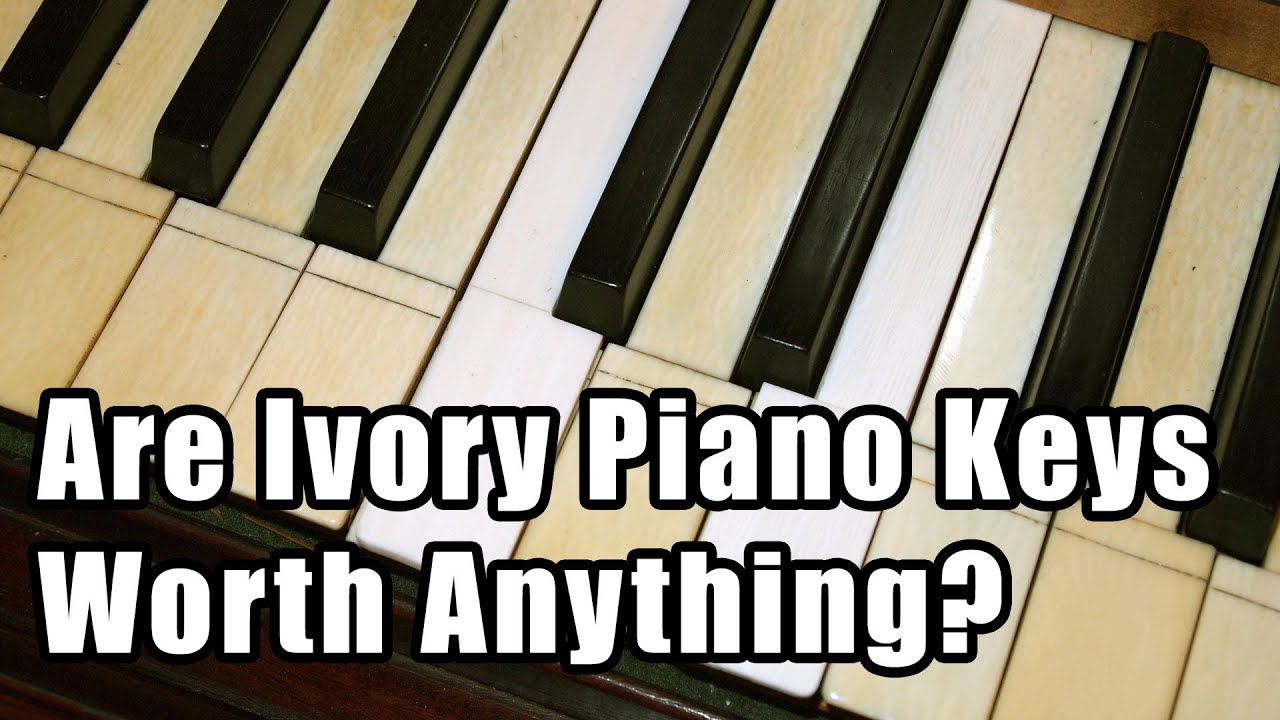 Are Ivory Piano Keys Worth Anything YouTube Are Ivory Piano Keys Worth Anything YouTube