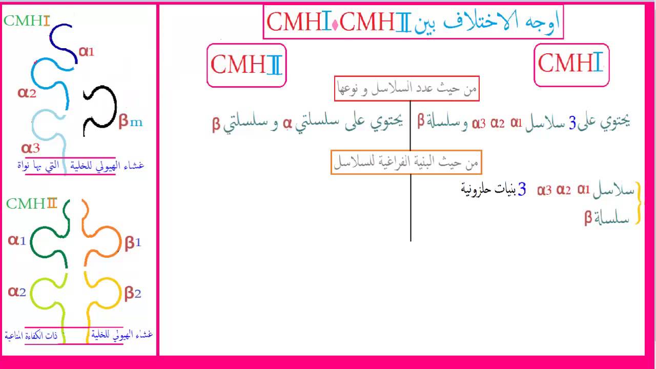 13أوجه الاختلاف بين CMH1 CMH2 - YouTube