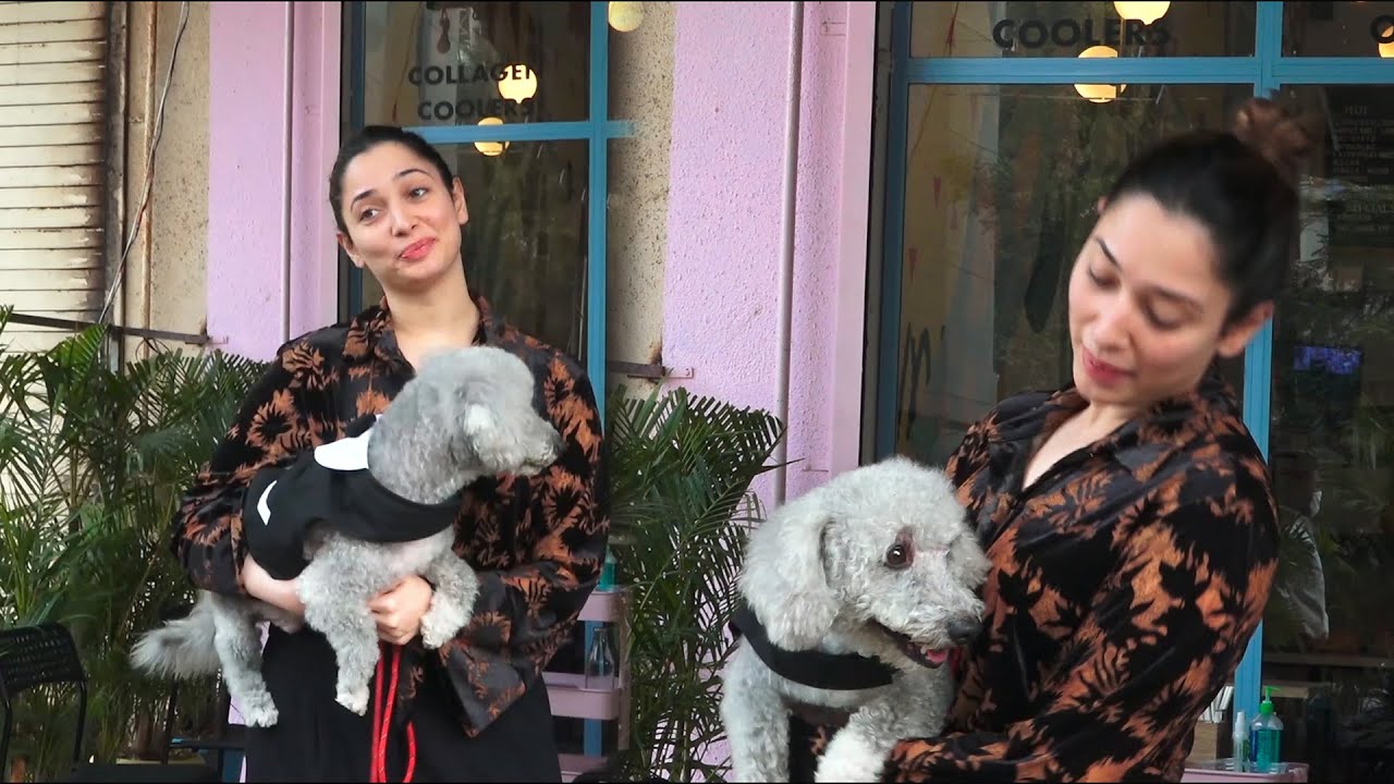 Tamanna Bhatia Best And Cute Moment With Her Pet Dog | Funny Moment ...