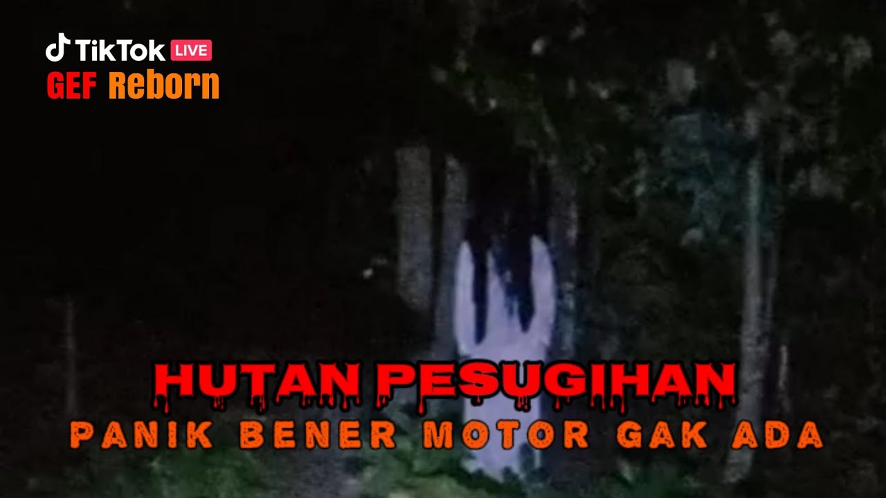 🔴Live tiktok//hutan pesugihan //panik bener motor gak ada - YouTube
