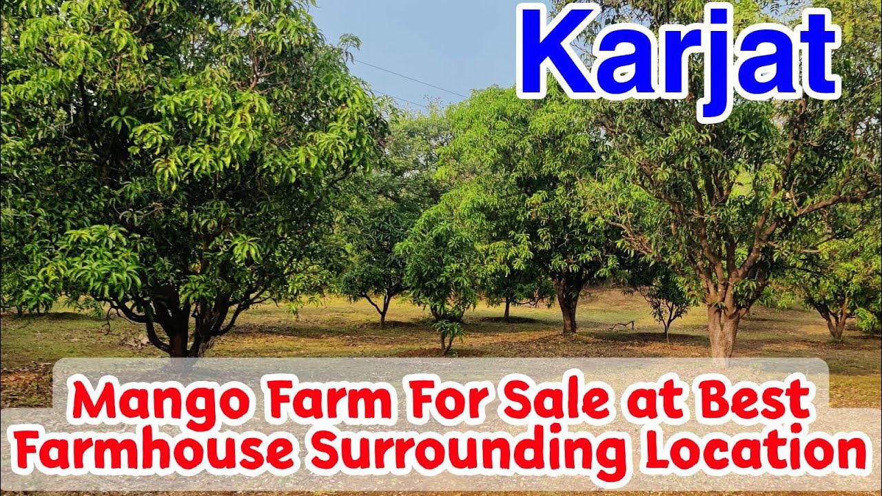 4 Acre Farmhouse For Sale In Karjat. With Big Trees OF Mango & Coconut ...