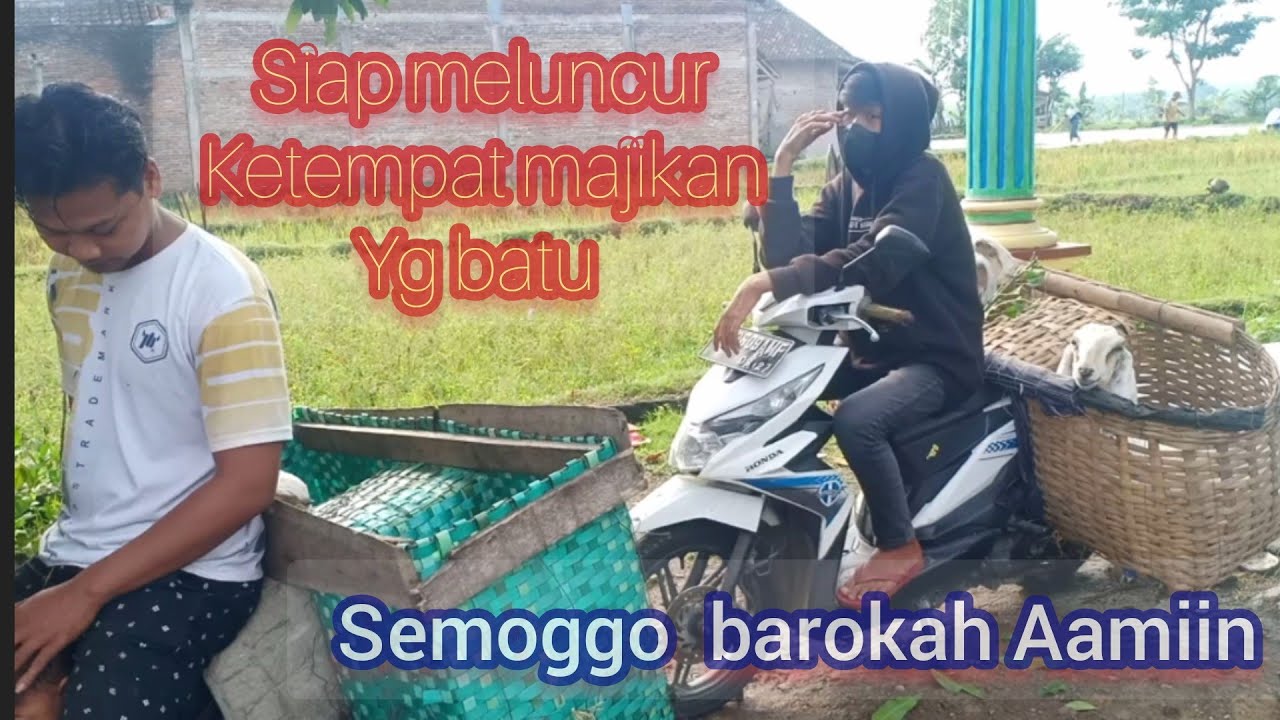 pengiriman kambing sejara cod semoggo barokah Aamiin - YouTube