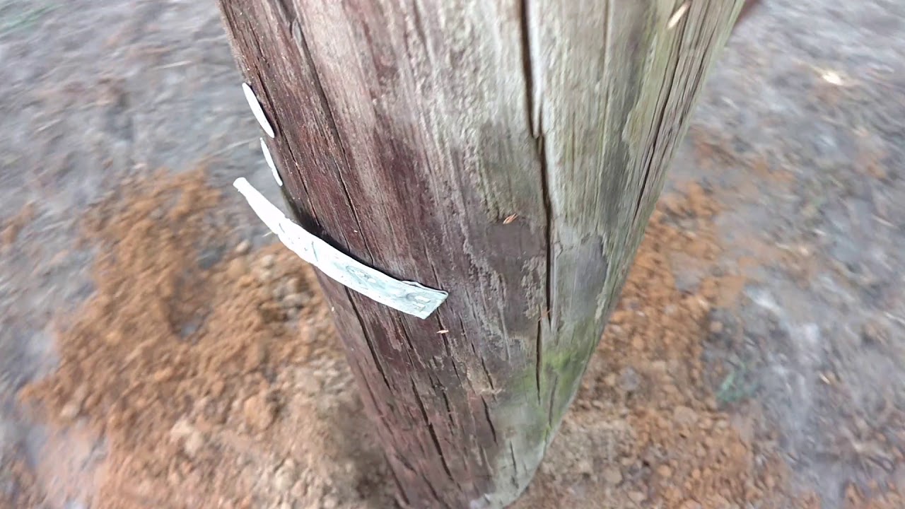 Post hole tamping - YouTube