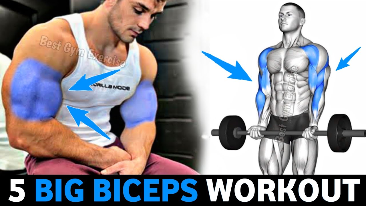5 Best Exercises For Biceps 🔥 - Biceps Workout - YouTube