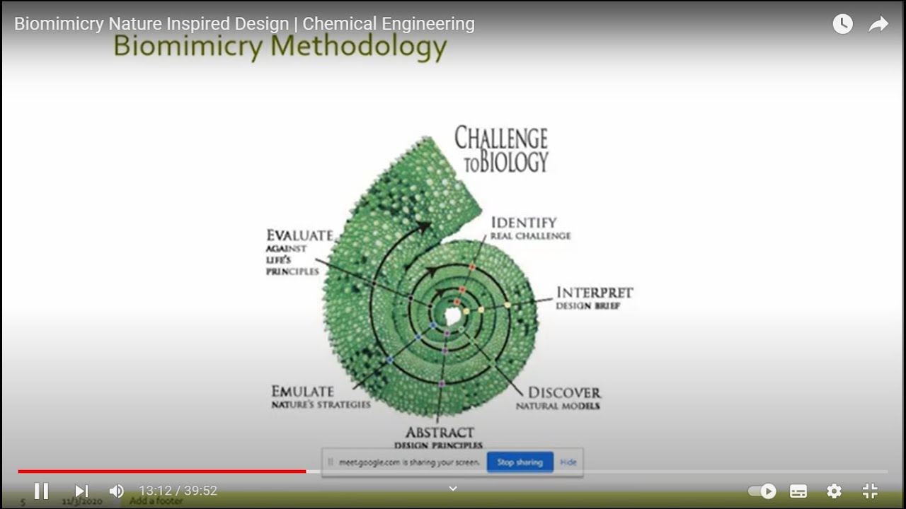 Biomimicry Nature Inspired Design | Chemical Engineering - YouTube