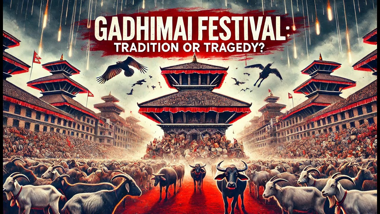 Gadhimai Festival: Tradition or Mass Animal Slaughter? @BeyondTheTaless ...