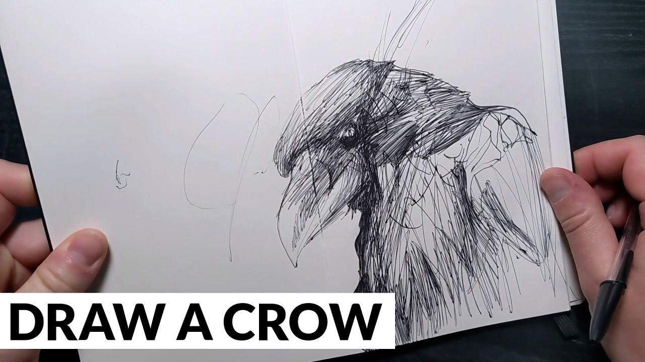 Sketching a Crow with Just a Ballpoint Pen (Step-by-Step) - YouTube