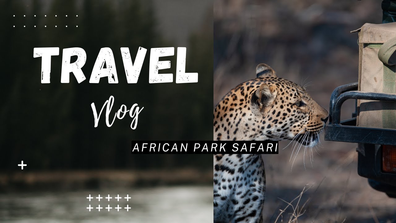 Safari the African Way // Nairobi National Park🦁 [AMAZING PLACES 1080P ...