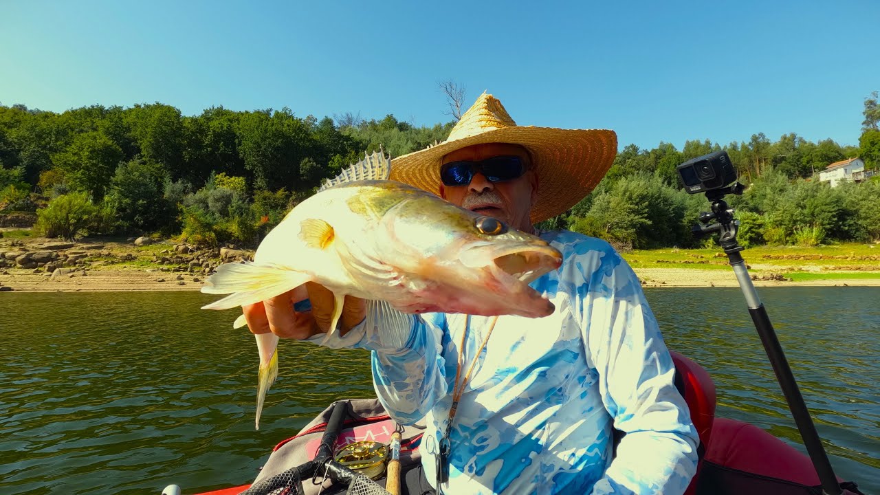 Y&O zander and bass streamer - YouTube