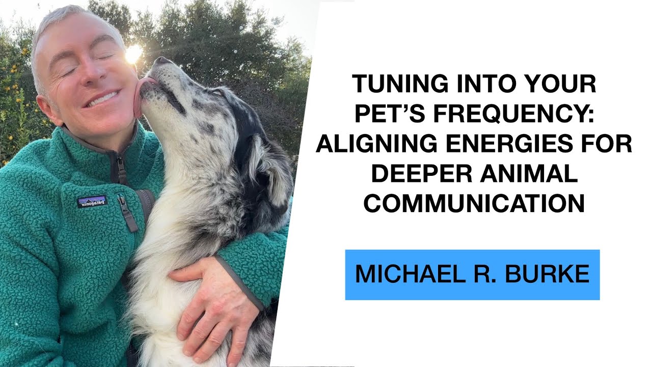 Tuning into Your Pet’s Frequency: Aligning Energies for Deeper Animal ...