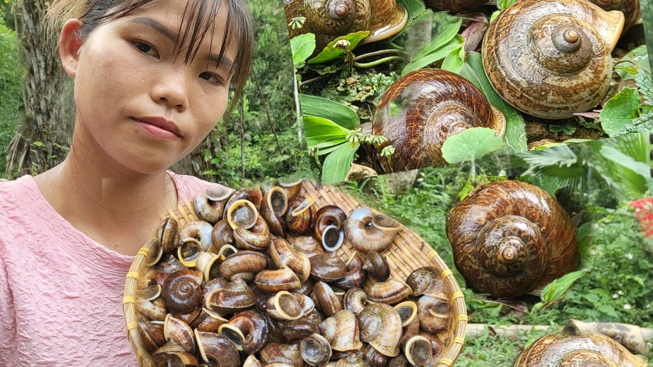 The girl gardened and went into the forest to pick up wild snails to ...