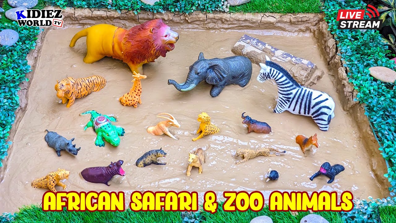 African Wild Animals for Kids, Safari and Zoo Animals Muddy Adventures ...
