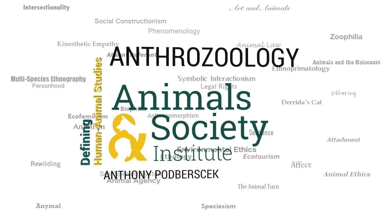Defining Anthrozoology with Anthony Podberscek - ASI's Defining Human ...
