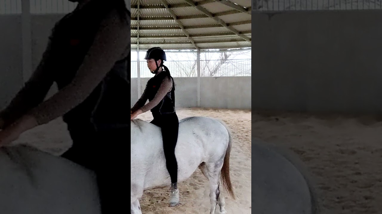 How to Start Riding Horses Bareback - YouTube