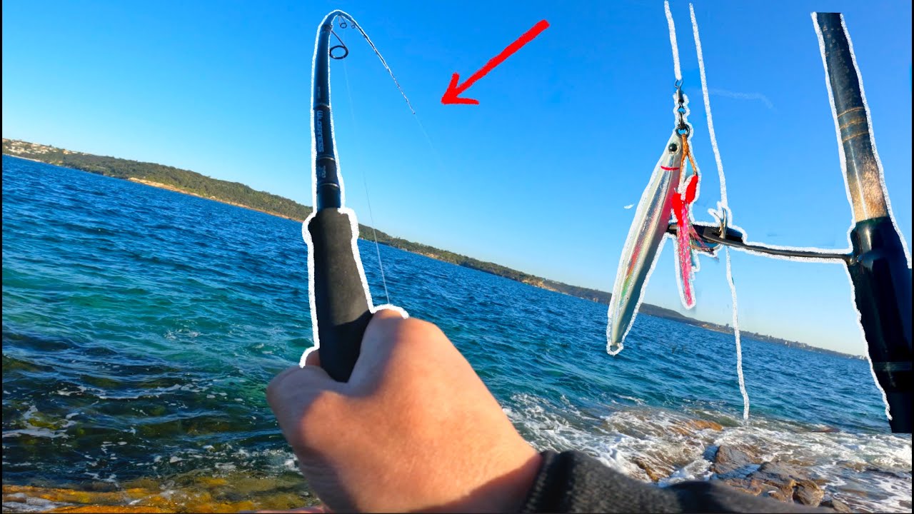 Shore Casting With Lure || Sydney Harbour - YouTube