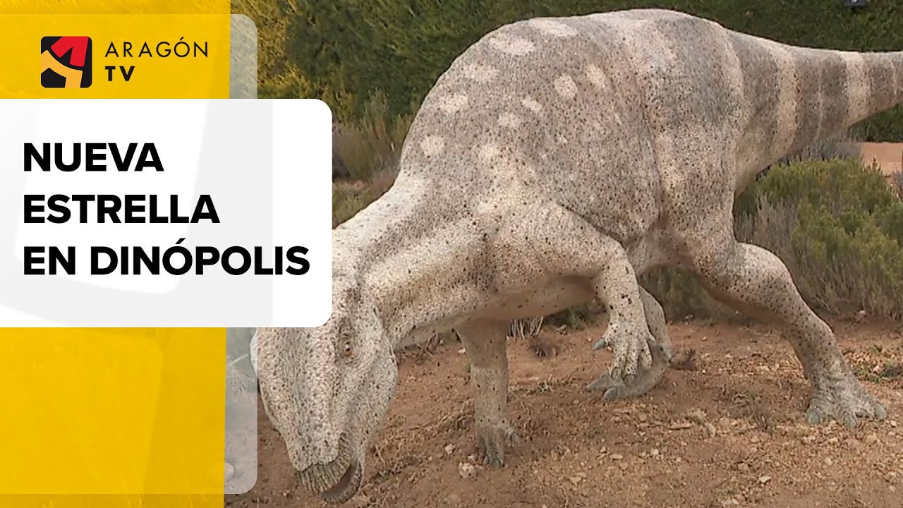 Nueva estrella en Dinópolis: el 'Oblitosaurus bunnueli' - YouTube