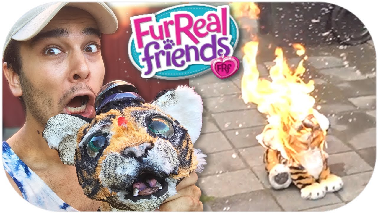 Derek Gerard Content - YouTube