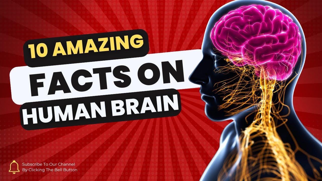 10 Amazing Facts About the Human Brain You Never Knew | #BrainFacts # ...