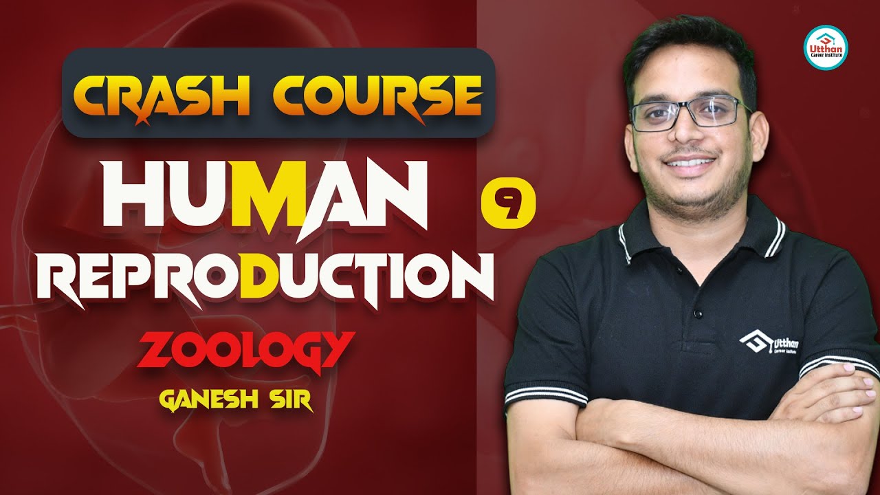HUMAN REPRODUCTION CLASS 12 | CRASH COURSE CUET | JET 2024 | ZOOLOGY ...