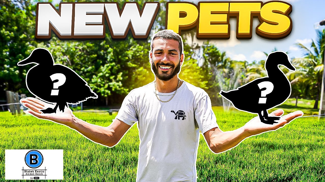 GETTING PET DUCKS from BLAKES EXOTIC ANIMAL RANCH! - YouTube