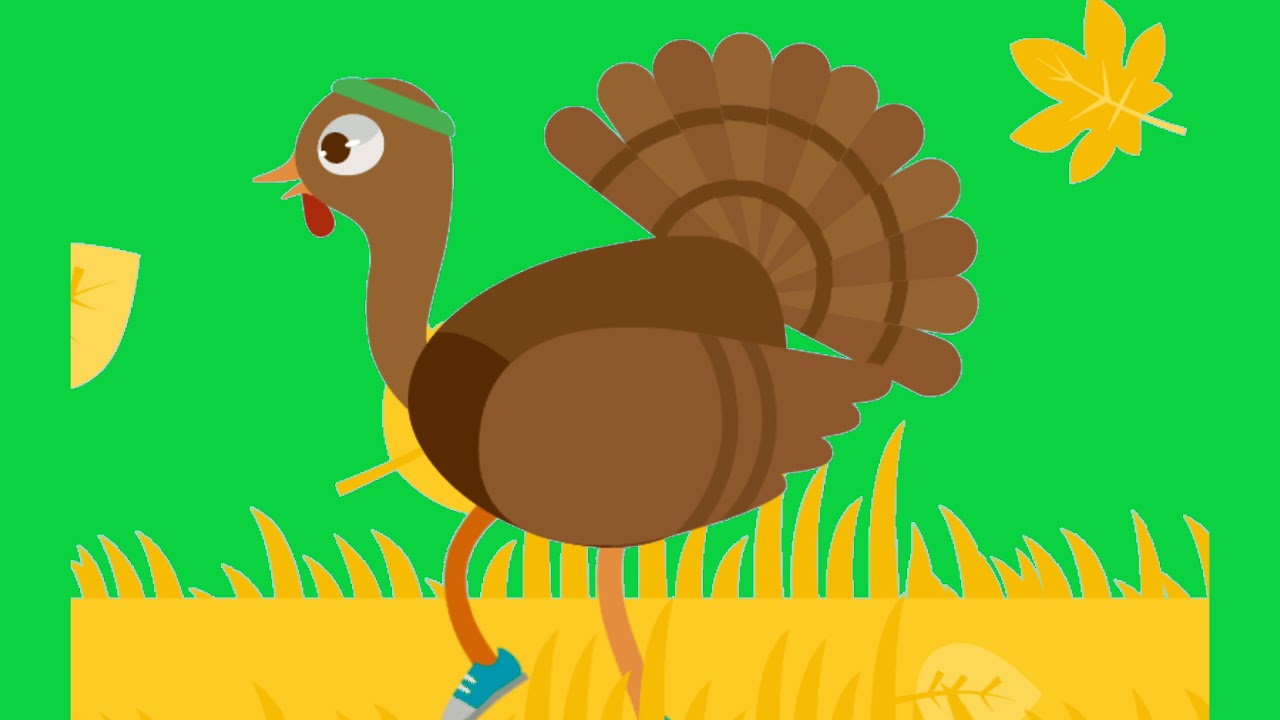 walking and jumping Turkey Happy Thanksgiving animated UHD green screen ...