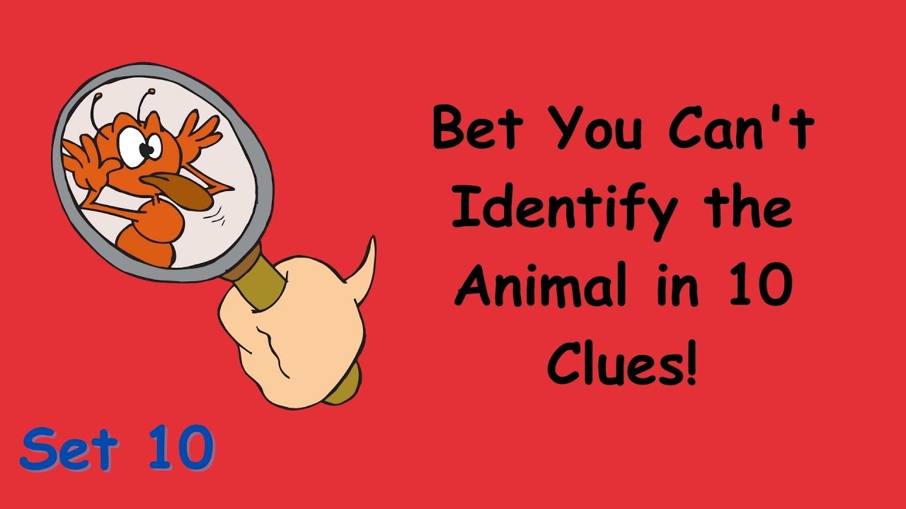 Mystery Animal # 10 Can You Guess This Creature? | 10 Clues to Find Out ...