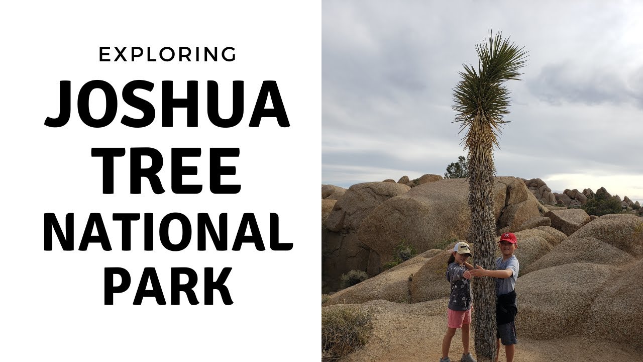 Joshua Tree National Park - Exploring with Kids - YouTube