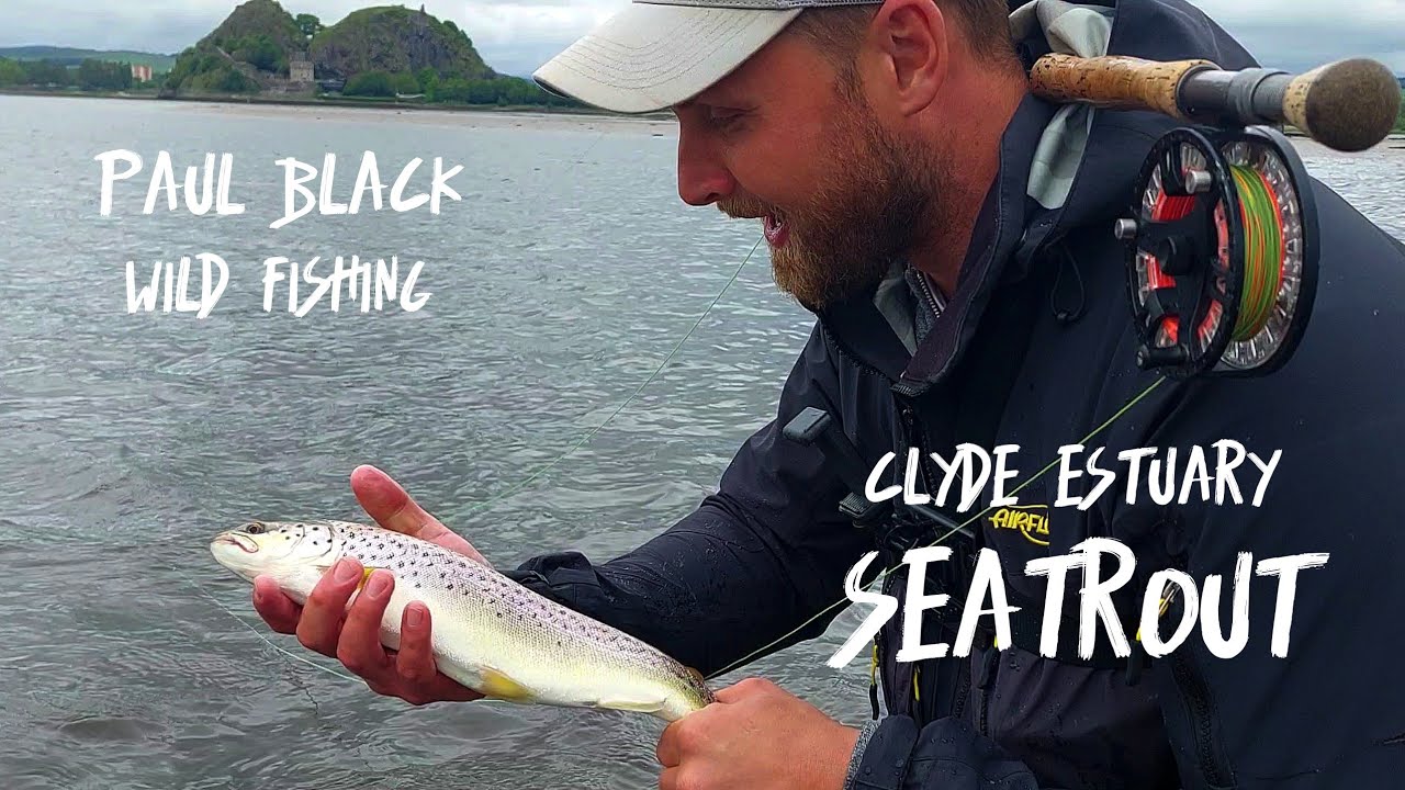 Chasing Sea Trout on the Clyde Estuary - YouTube